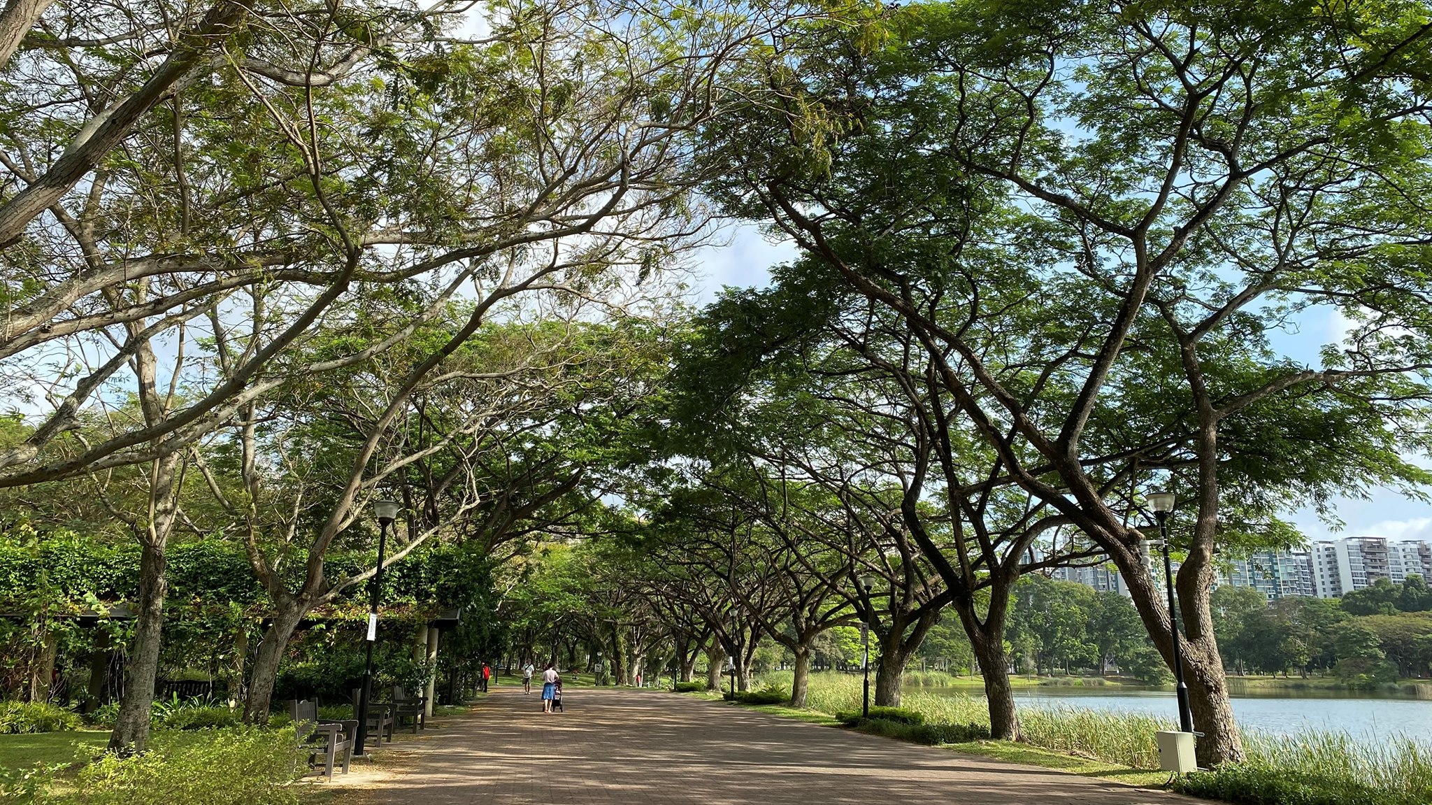 HDB | MNH – Places to Explore in Hougang