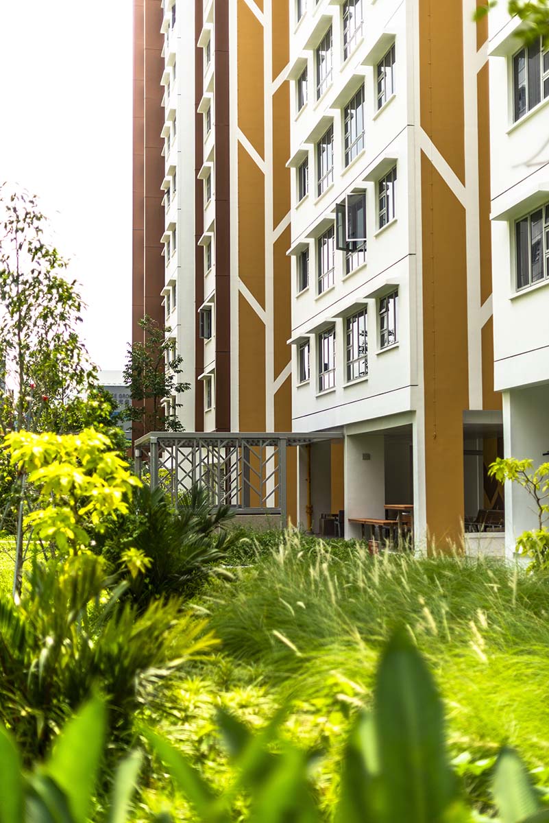 HDB | MNH – Capturing Instagram-Worthy HDB Blocks in Your ‘Hood
